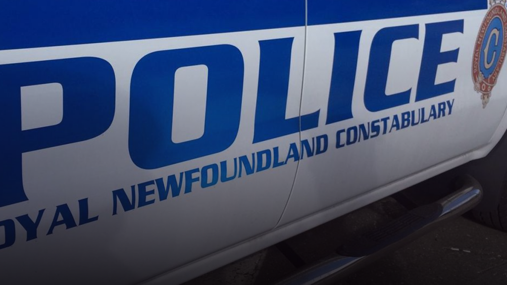 Newfoundland police given power to enter homes, arrest non-residents to ...