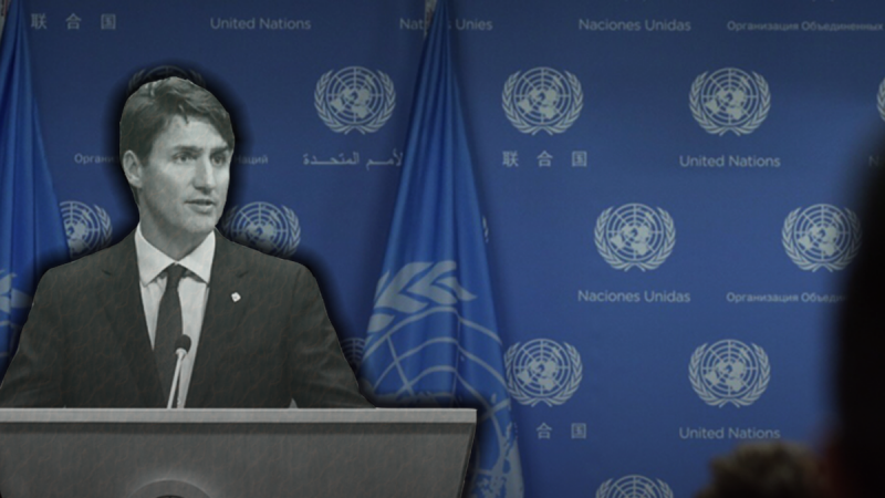 Trudeau sends Canada’s UN ambassador to New York to plead for Security ...