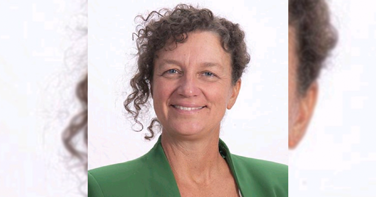 Everything you need to know about the Green leadership race and its ...