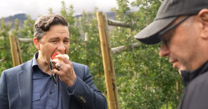 “Acerbic” interview with apple-munching Pierre Poilievre goes viral ...