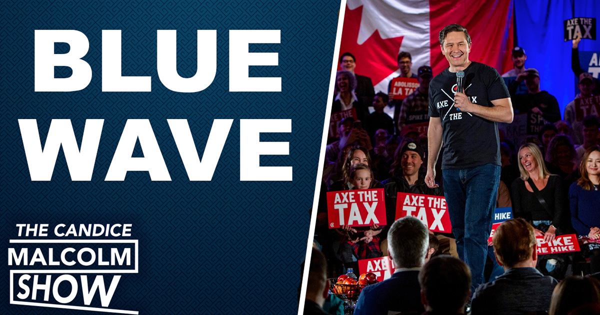 The Candice Malcolm Show | Pierre Poilievre’s Conservatives are leading ...