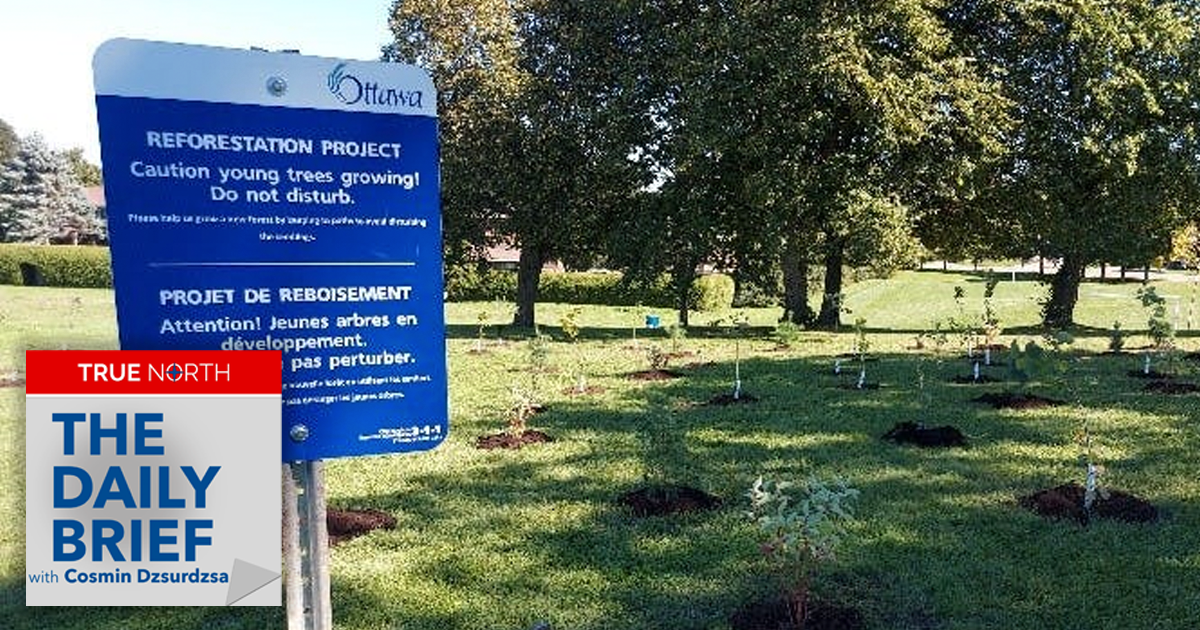 The Daily Brief | “Tree Equity?” | True North