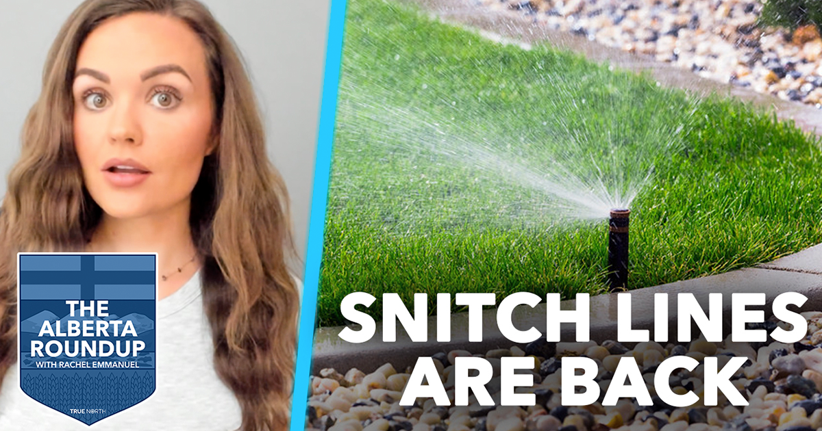 The Alberta Roundup | Calgarians turn to pandemic-era snitch lines ...